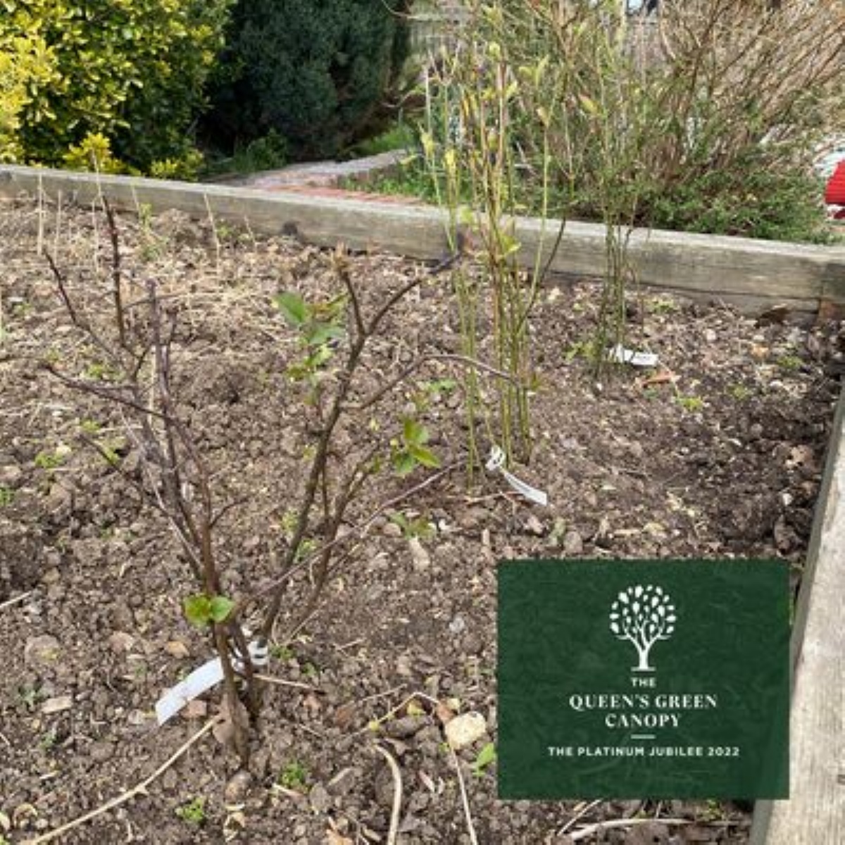 South Avenue Primary School - South Avenue Primary School are proud to ...